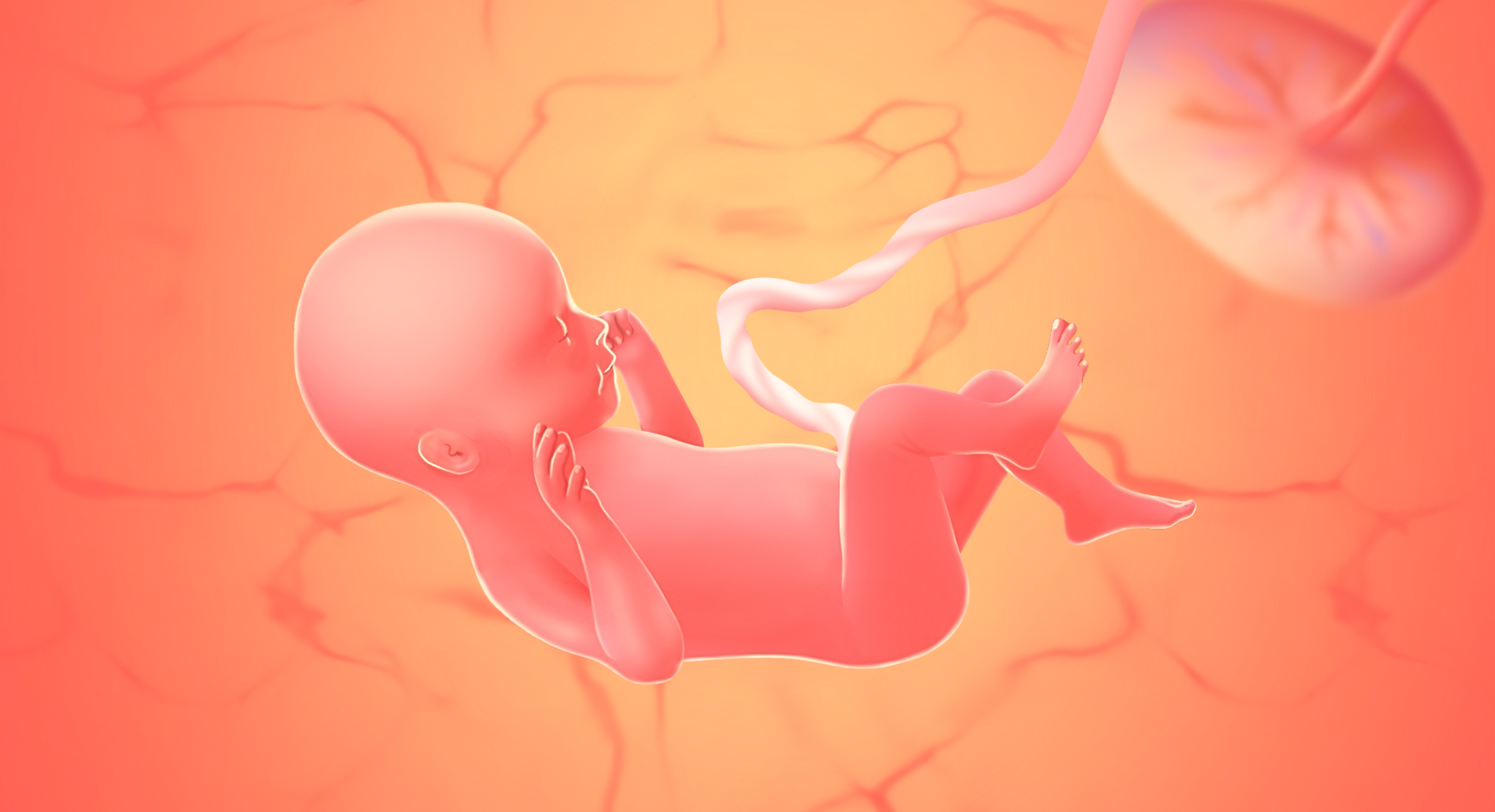 Gravid uge 29 | Følg din graviditet uge for uge